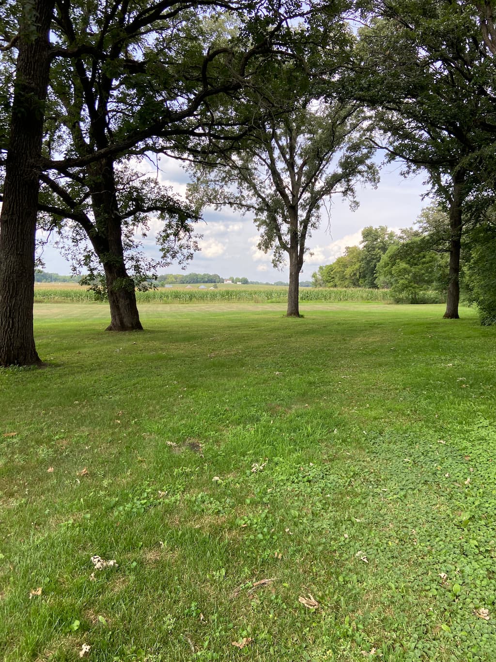 Corn all around us – 8/10 – Red Dirt RV